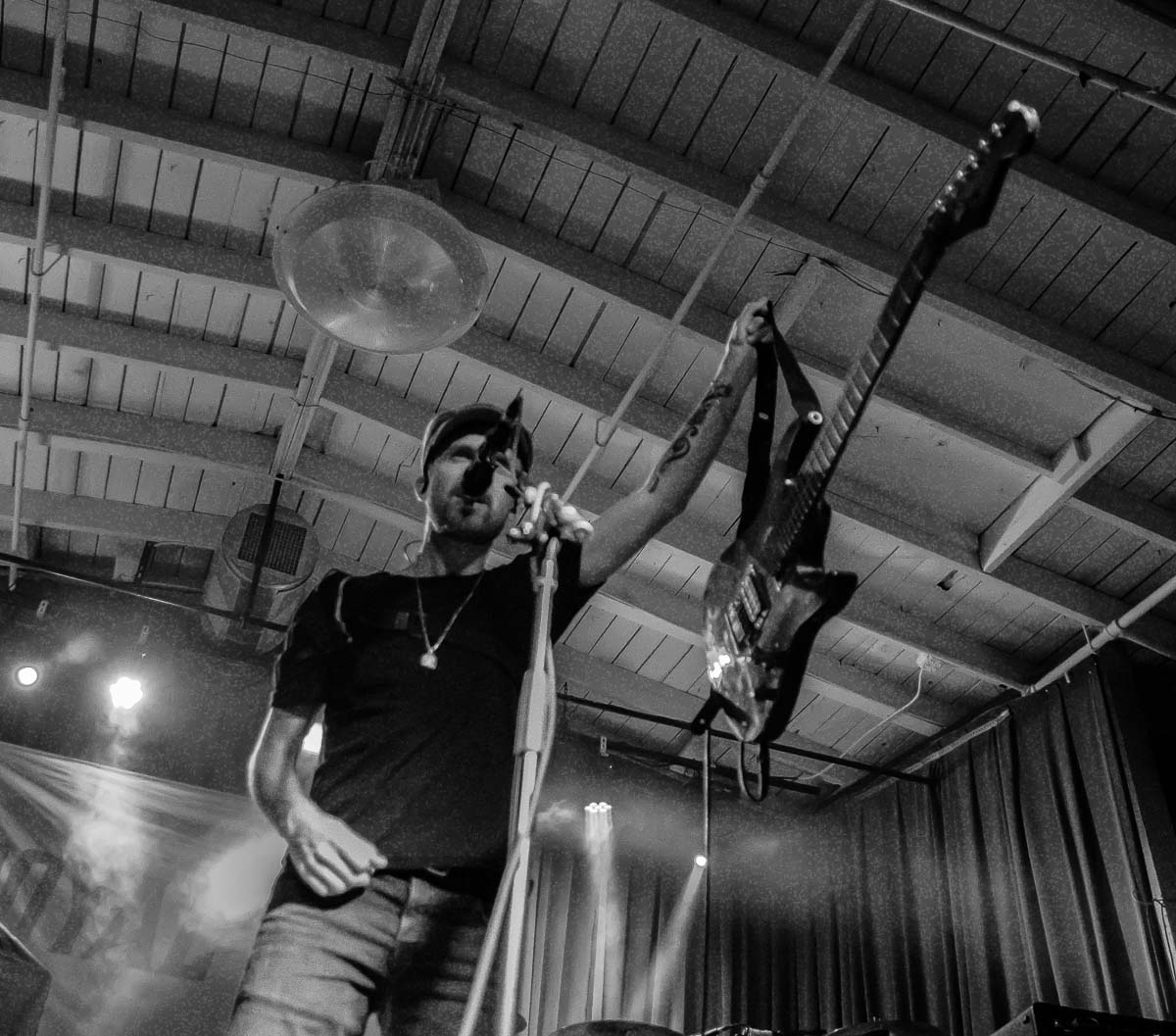 Royal Tusk-3 (1 of 1)